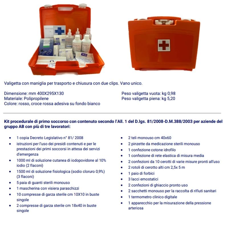 Cassetta Pronto Soccorso Valigetta primo soccorso ALLEGATO 1