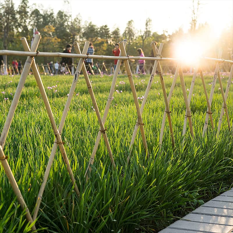Canne in bambù per piante e arredo giardino 90 cm